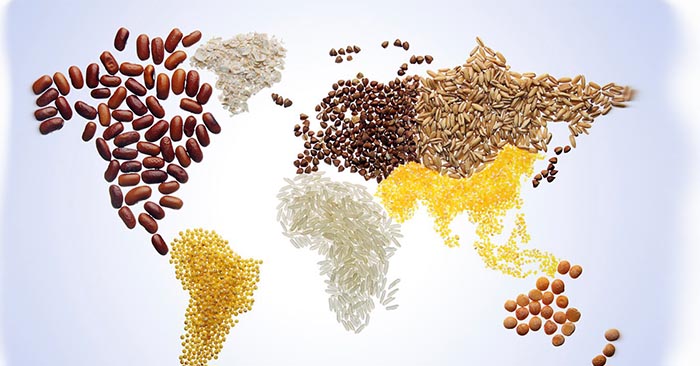 Food of the World in 23 Eye-Opening Photos