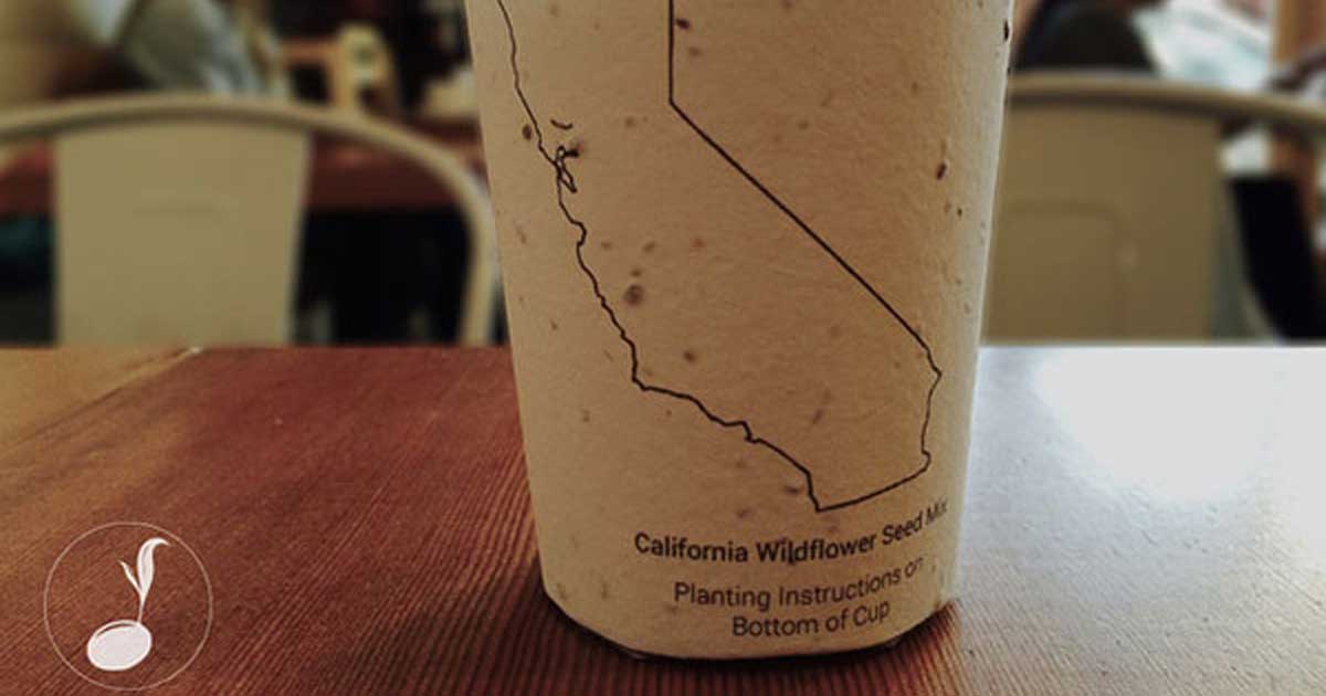 Help the Planet with these Biodegradable Coffee Cups that are embedded ...
