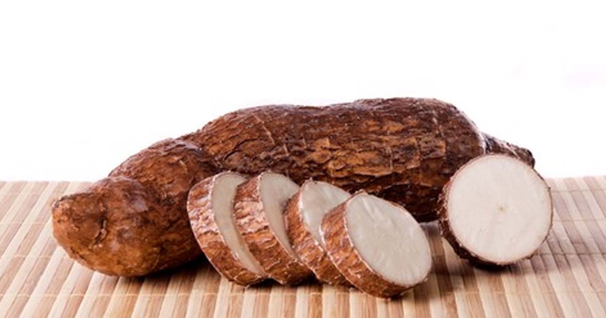 Yuca(n) or Yuca(nt)