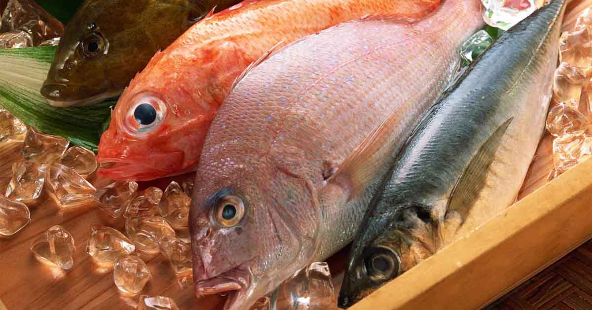 7 Ways to Know How to Buy the Freshest Fish at the Market