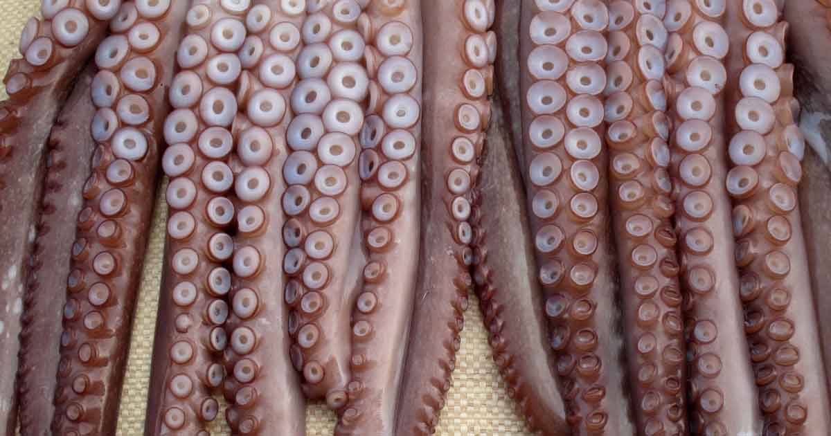 17 Most Dangerous Foods Around The World That You Really Need To Know About