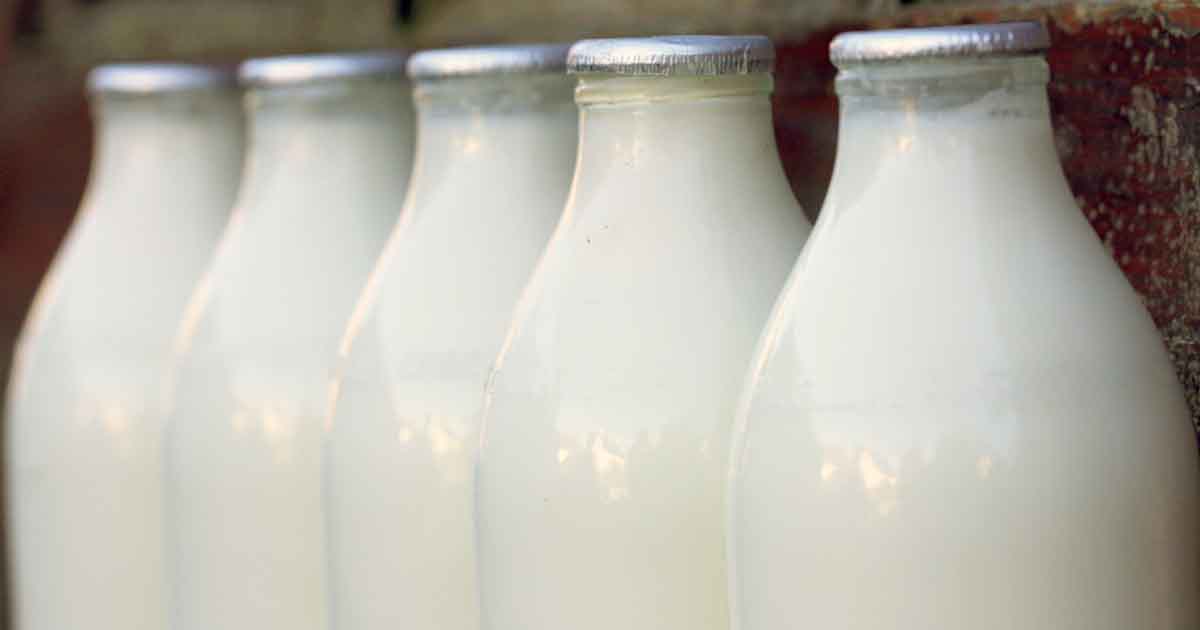 10 Things To Do With Milk When You Don’t Want to Drink It