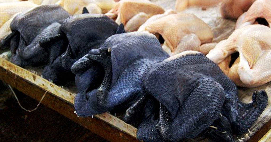 Ever Heard Of Black Chicken? They're Silkies And They're Real!