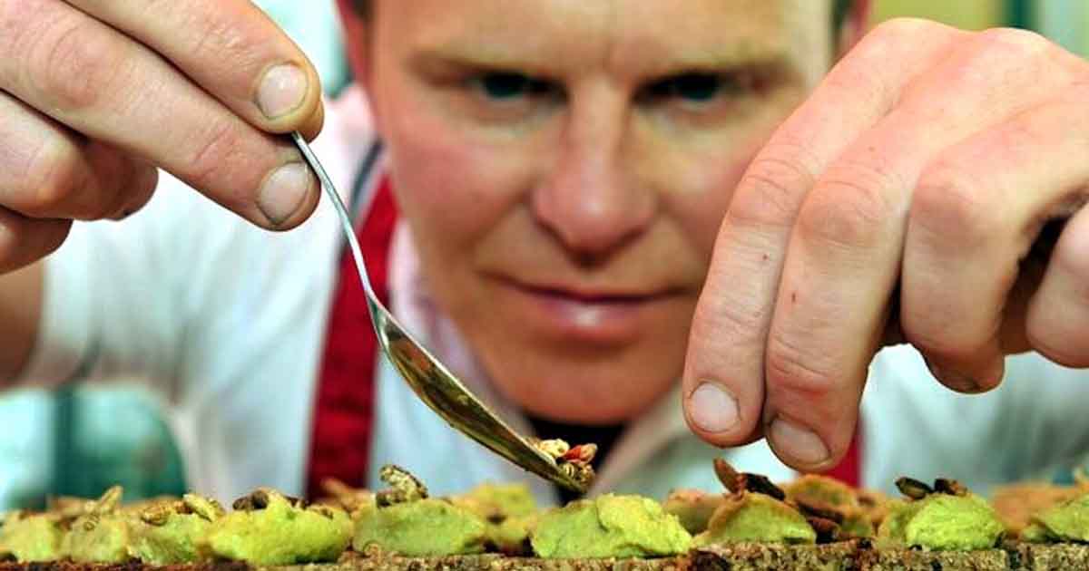 Say Hello to Grub Kitchen : Britain's First Insect Restaurant