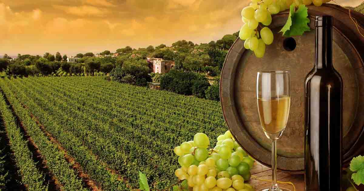 Sula Vineyards Celebrates Its 15th Anniversary With Sula Brut Tropical ...