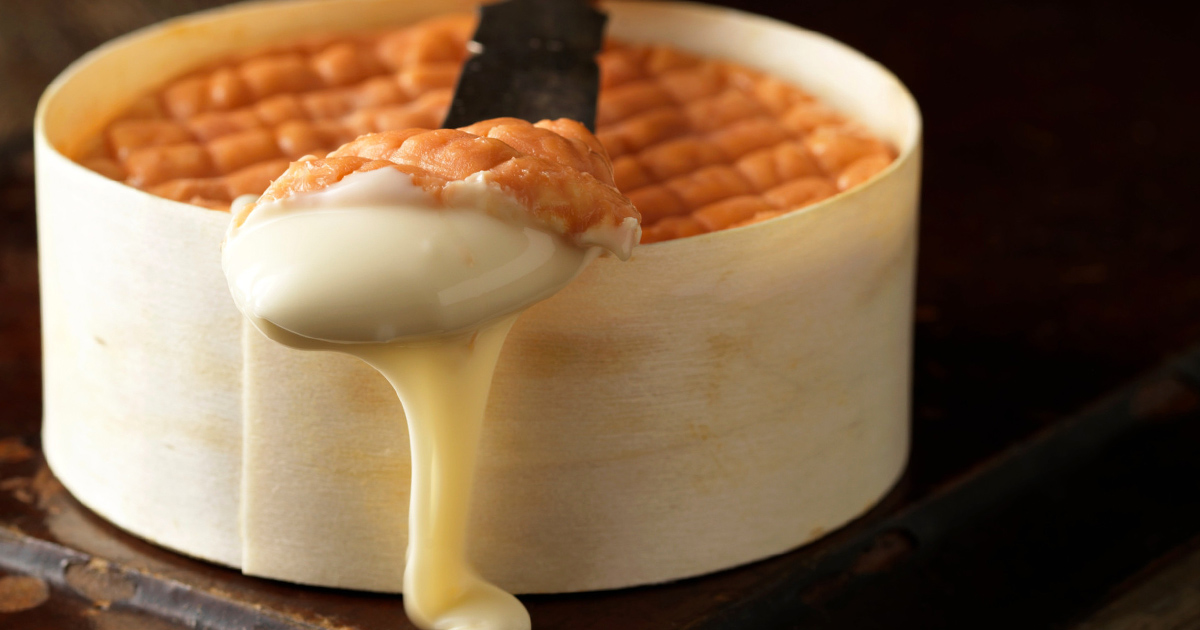 8 Cheese Laden Cocktail Snacks For Your Next Party | HungryForever