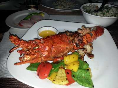 6 Best And Authentic Tasting Food's In Kochi - HungryForever Food Blog