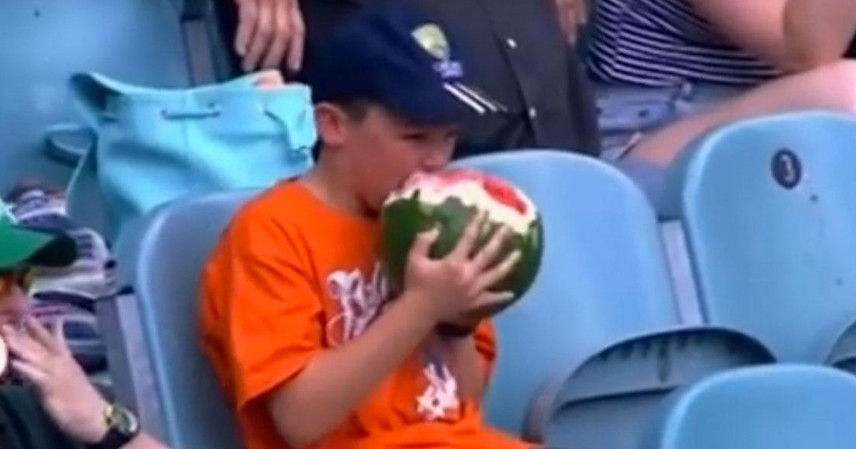 The Incredibly Diligent Watermelon Boy Who Has Taken The Internet By ...