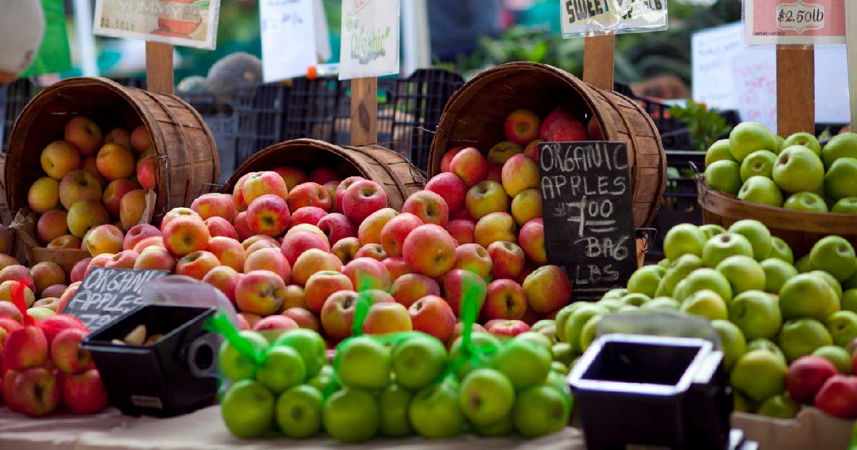Your Guide to The Woodside Farmers Market happening in Chennai this ...