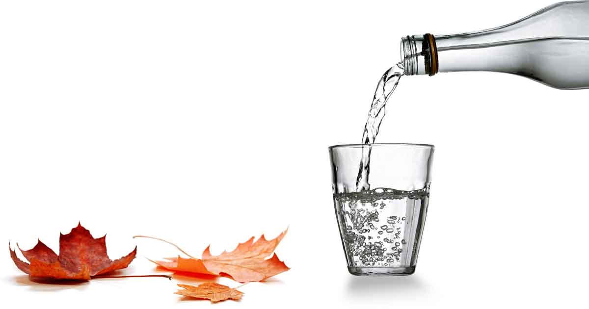 Step Aside Coconut Water, Maple Water Is Here - HungryForever Food Blog