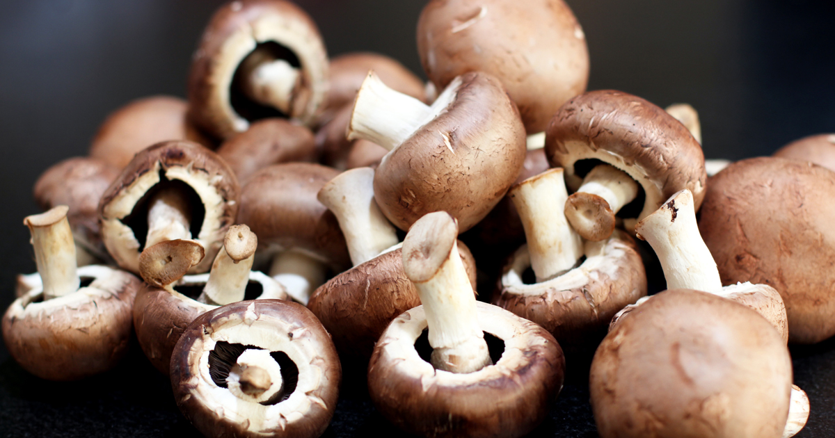Mushroom 101 By Gordon Ramsay - HungryForever Food Blog
