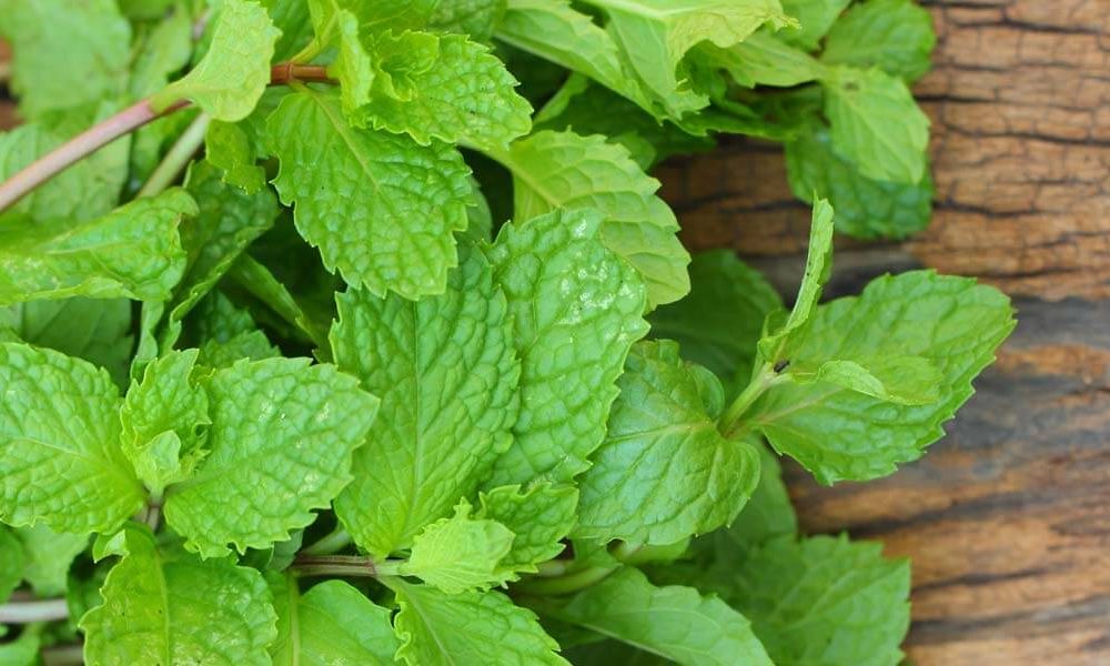 CHILLI-MINTED MUSHY PEAS RECIPE - HungryForever Food Blog