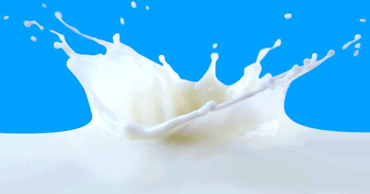 Kwality Ltd Bags Rs.520 Crore Investment Commitment - HungryForever ...