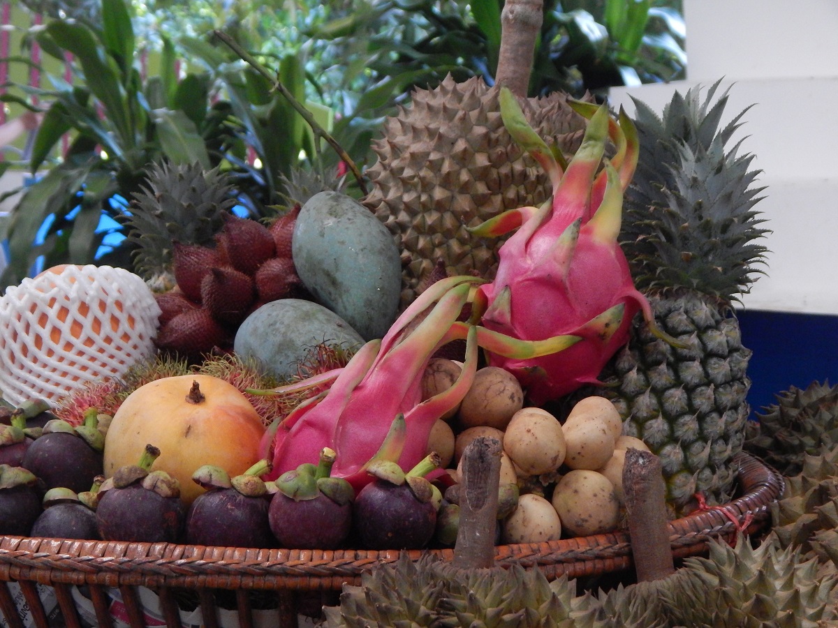 The Thai Food Trail: Fruits and Fine Dining Through Suphattra Fruit ...