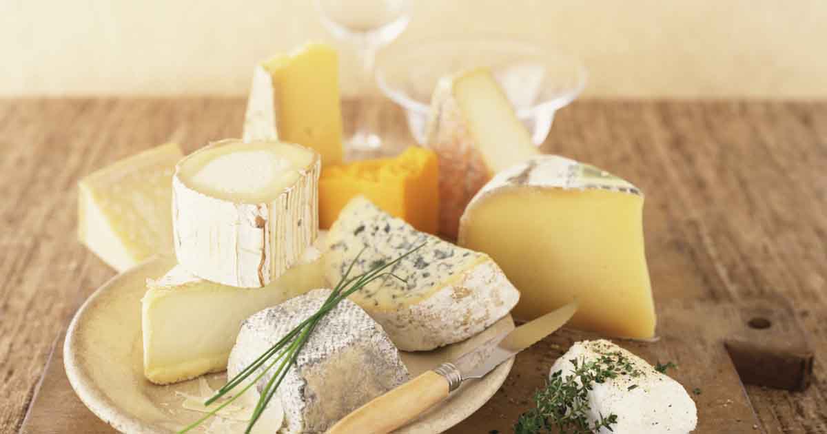 Is Your High Fat Cheese Habit Actually Good For You? - HungryForever ...