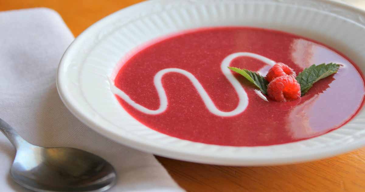 The Hunger Games Raspberry Soup Recipe - HungryForever Food Blog
