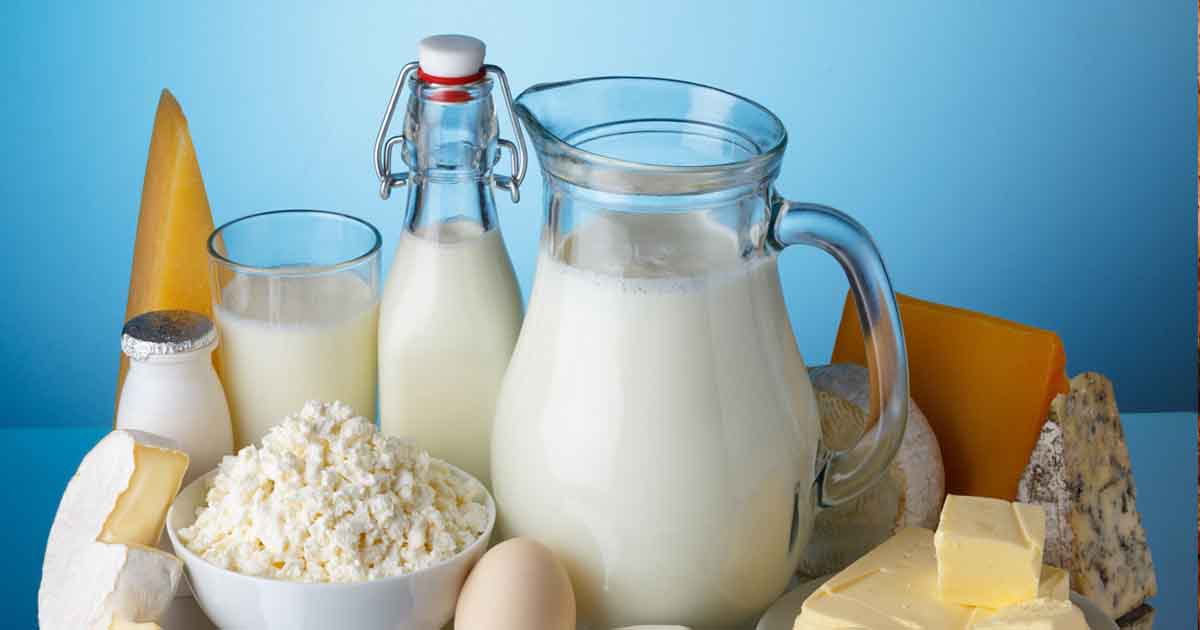 Schreiber Dynamix Dairies Wants To Become A $500 Million Company In ...