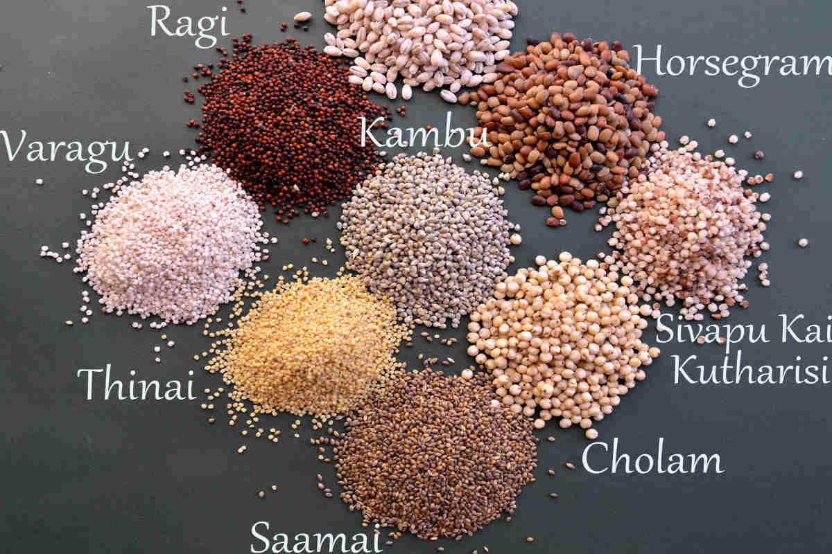 Manna's Ethnic Millets Takes you back in Time : To a Healthier Place ...