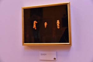 $50,000 For A Uniquely Shaped Cheeto? Yup The Cheetos Museum Is Ready ...