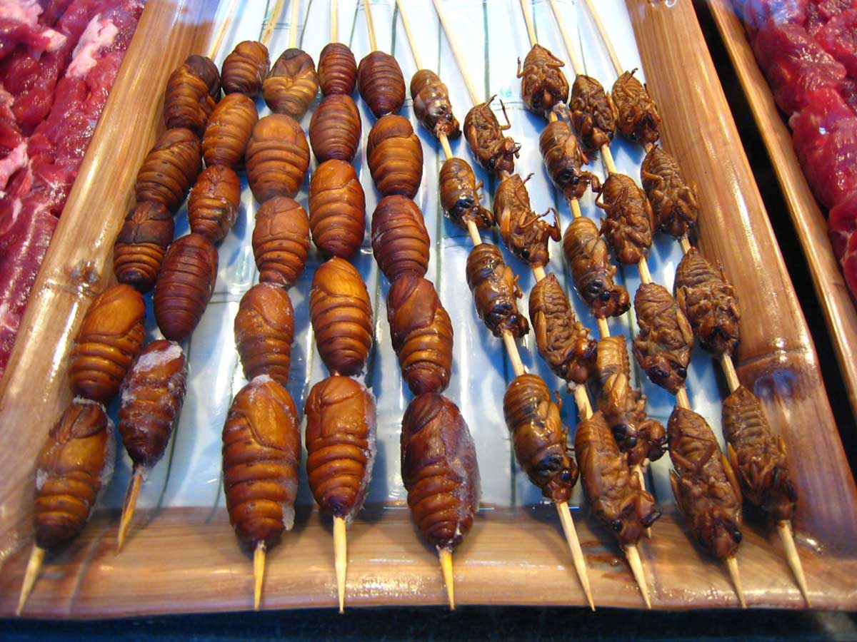 Prepare For Crunchy Bug Salad And Personalized Food Pills In The Future ...