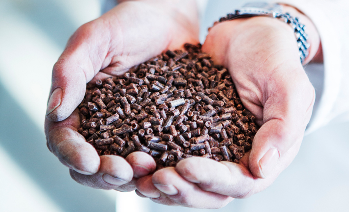 Scientists Discover Ways To Convert Methane Into Edible Protein ...