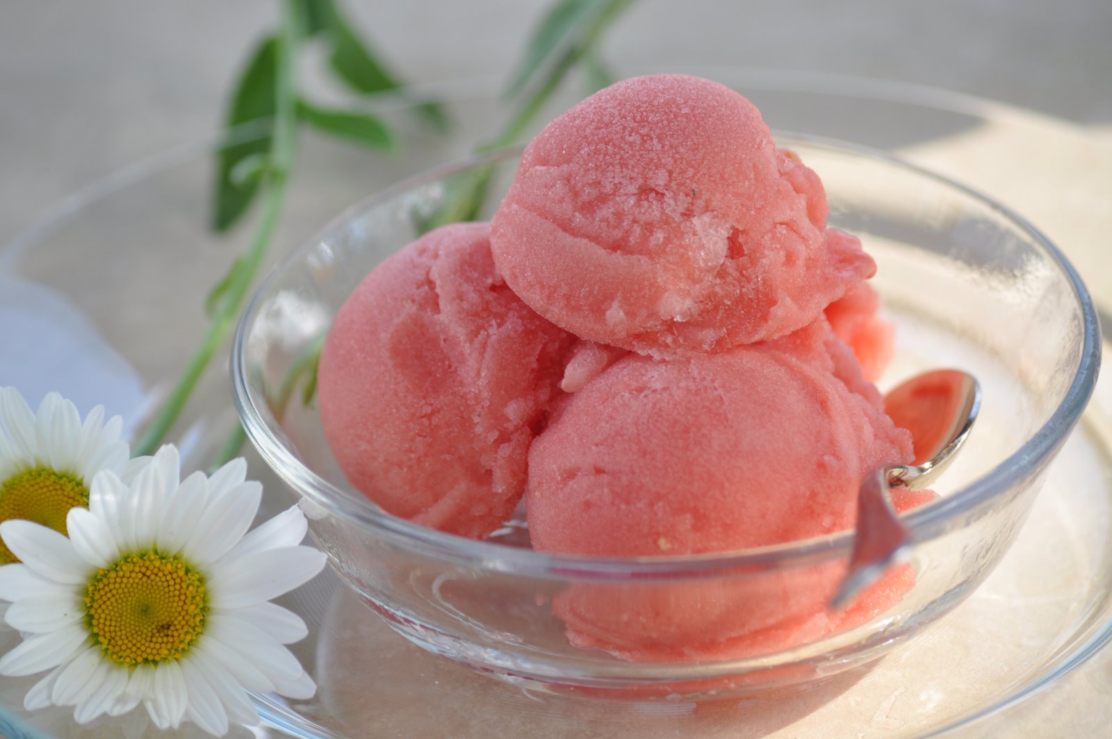 Watermelon Ice Cream | Homemade Watermelon Ice Cream Recipe