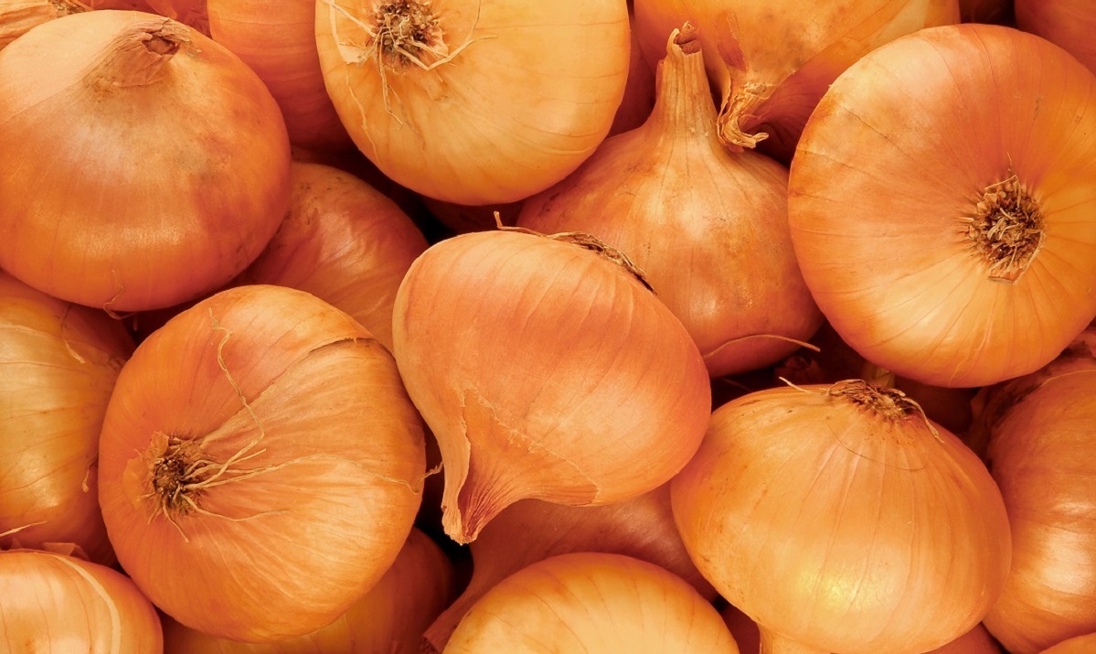 A Tearless Onion Now Exists and it's Called A Sunion - HungryForever ...