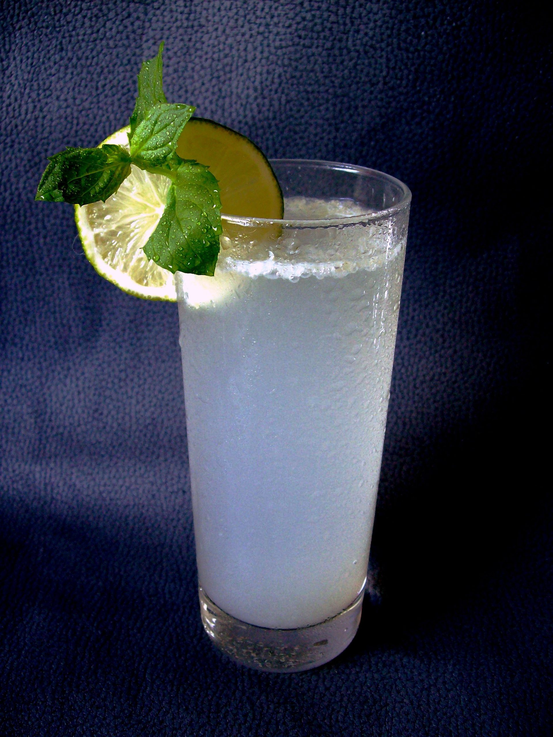 White Wine Spritzer Recipe | Classic White Wine Spritzer | HungryForever