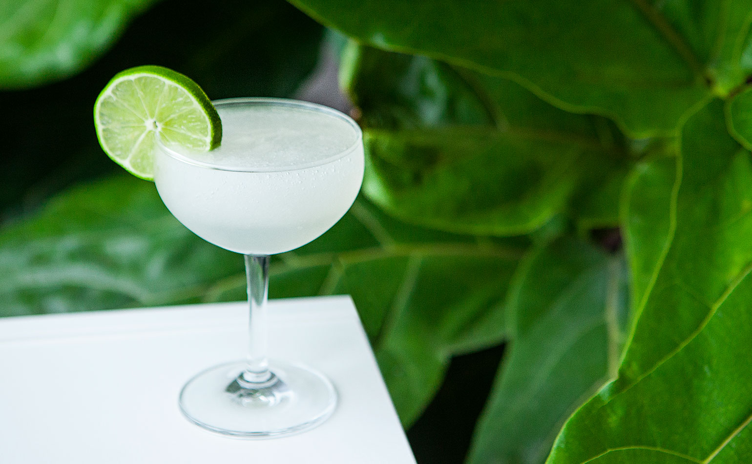 Daiquiri Recipe | How To Make Daiquiri Drink | HungryForever