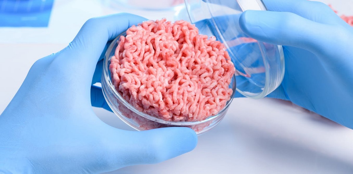 Lab-grown 'Clean Meat' May Hit Indian Markets by 2025 - HungryForever ...