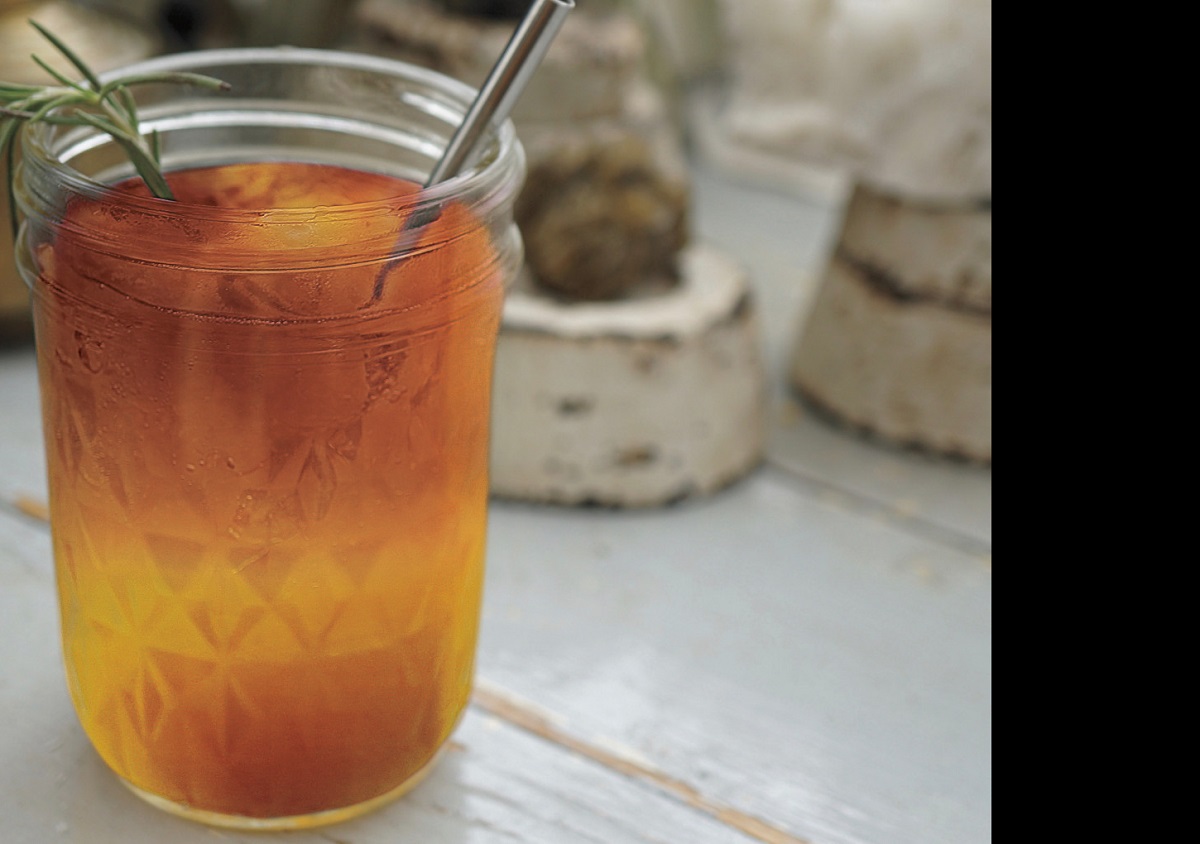 Switchel Cocktail - HungryForever Food Blog