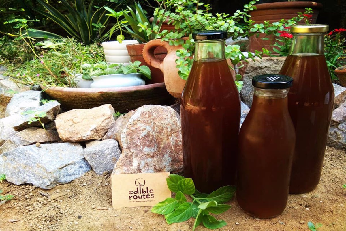 Kombucha Brewing Workshop at Greenr Cafe, Vasant Vihar - HungryForever ...