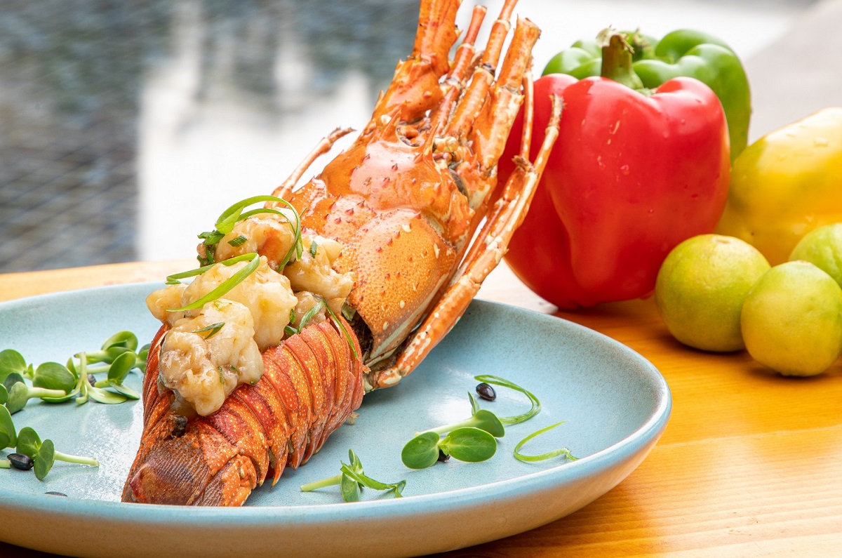 Slide Into The New Year With A Refreshing Experience At Urban Oasis ...